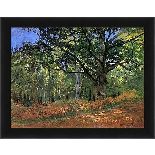 Плакат, постер на холсте The Bodmer Oak, Fontainbleau Forest. Клод Моне. Размер 60 х 84 см