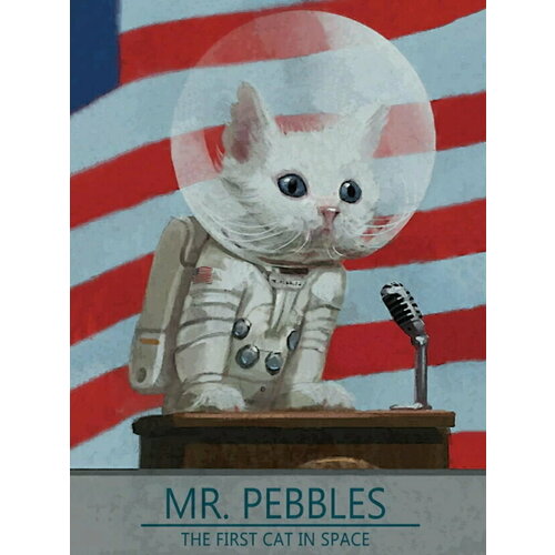 Плакат, постер на бумаге Mr. Pebbles-The First Cat In Space/искусство/арт/абстракция/творчество. Размер 60 х 84 см