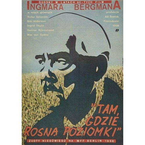Плакат, постер на бумаге Земляничная поляна (Smultronstallet), Ингмар Бергман. Размер 21 х 30 см