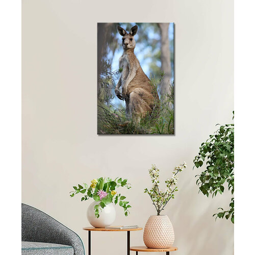 Картина - кенгуру, большой кенгуру, кенгуру в лесу, длинноухий кенгуру (12) 40х60