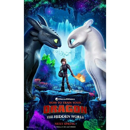 Плакат, постер на бумаге Как приручить дракона 3 (How to Train Your Dragon 3), Дин ДеБлуа. Размер 30 х 42 см