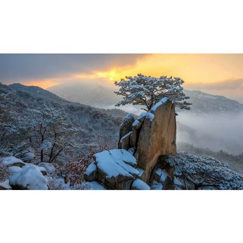 Картина на холсте 60x110 Альянс Лес "Зима дерево снег горы сосна" на подрамнике / интерьер/ декор