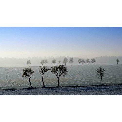 Картина на холсте 60x110 LinxOne "Деревья зима поле пейзаж" интерьерная для дома / на стену / на кухню / с подрамником