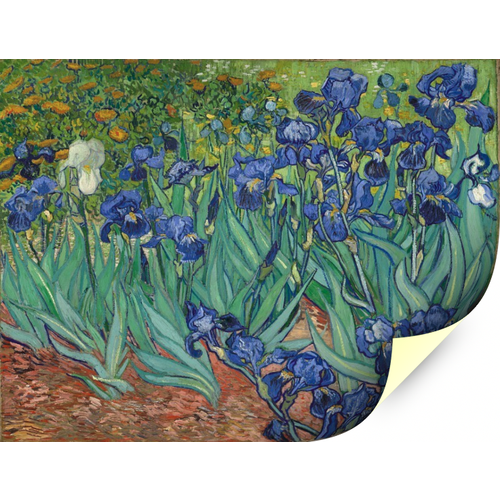 Картина для интерьера "Ирисы в саду", Ван Гог, печать на холсте (65х50 см / без подрамника)
