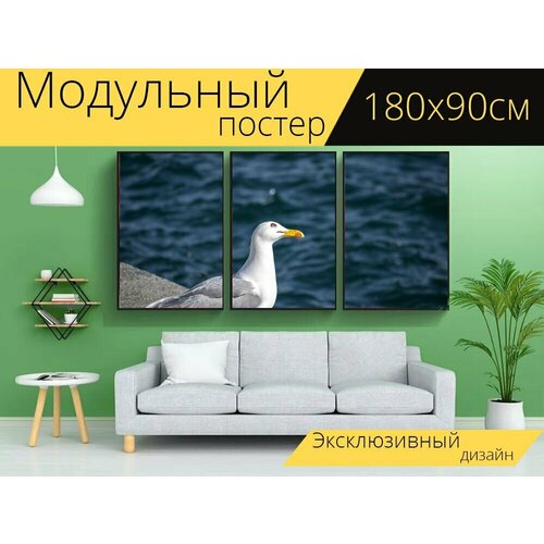Модульный постер "Чайка, морской берег, море" 180 x 90 см. для интерьера