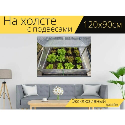 Картина на холсте "Минитеплица, латук, овощ" с подвесами 120х90 см. для интерьера