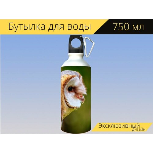 Бутылка фляга для воды "Сова, сипуха, птица" 750 мл. с карабином и принтом