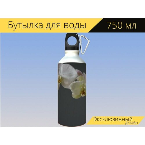 Бутылка фляга для воды "Орхидеи, чашки, белый" 750 мл. с карабином и принтом