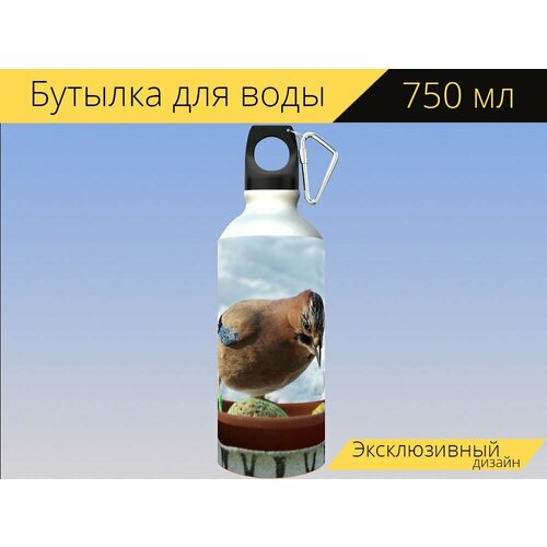 Бутылка фляга для воды "Птица, сойка, законопроект" 750 мл. с карабином и принтом