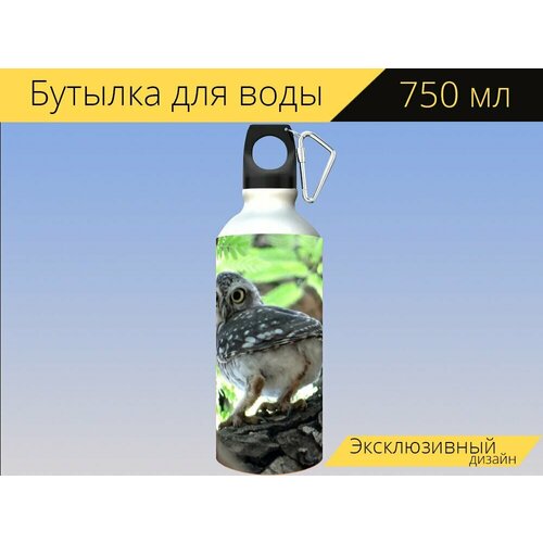 Бутылка фляга для воды "Пятнистый совенок, сова, афина брама" 750 мл. с карабином и принтом