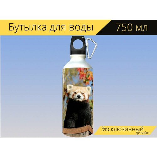 Бутылка фляга для воды "Красная панда, панда, маленькая панда" 750 мл. с карабином и принтом