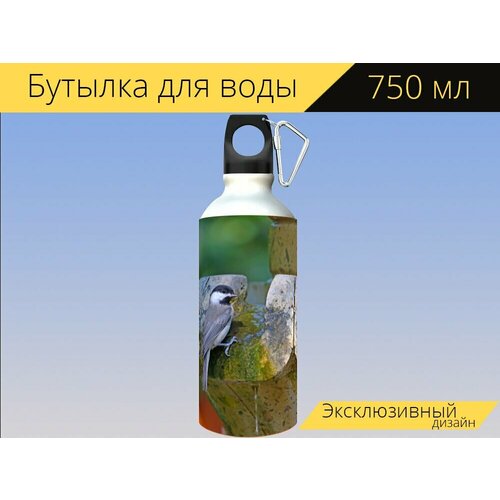 Бутылка фляга для воды "Синица, крошечный, птица" 750 мл. с карабином и принтом