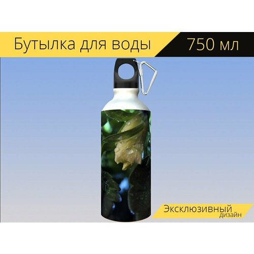 Бутылка фляга для воды "Грин, цветы, флора" 750 мл. с карабином и принтом