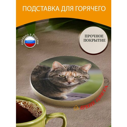 Подставка под горячее "Кошка, кошачий, усы" 10 см. из блого мрамора