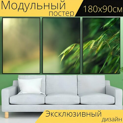 Модульный постер "Бамбук, боке, солнце" 180 x 90 см. для интерьера