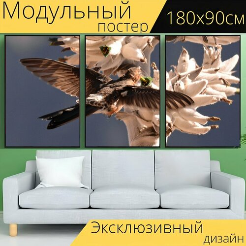 Модульный постер "Колибри, птица, природа" 180 x 90 см. для интерьера
