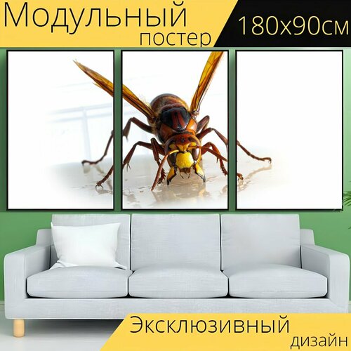 Модульный постер "Шершень, оса, насекомое" 180 x 90 см. для интерьера
