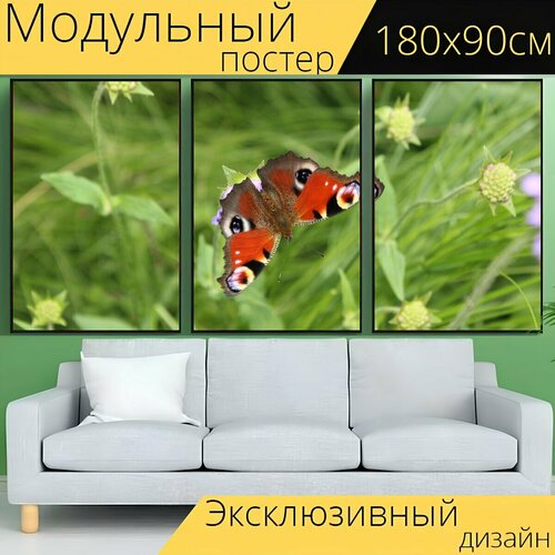Модульный постер "Бабочка, природа, луг" 180 x 90 см. для интерьера