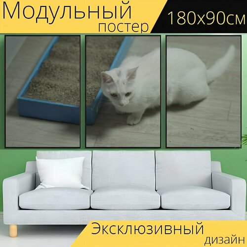 Модульный постер "Кот, кошка, животное" 180 x 90 см. для интерьера