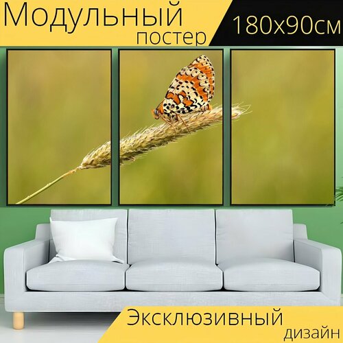 Модульный постер "Бабочка, луг, природа" 180 x 90 см. для интерьера