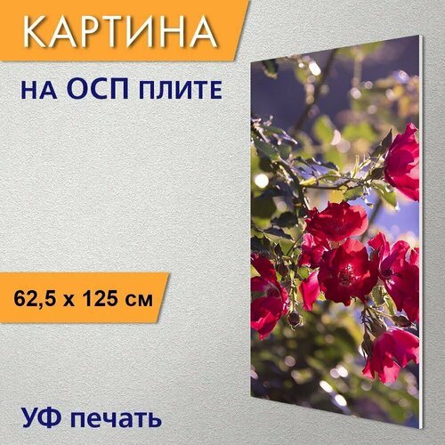 Вертикальная картина на ОСП "Розы, красный, цветок" 62x125 см. для интерьериа