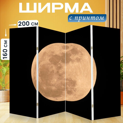 Ширма перегородка с принтом "Полная луна, небо, романтичный" на холсте - 200x160 см. для зонирования, раскладная