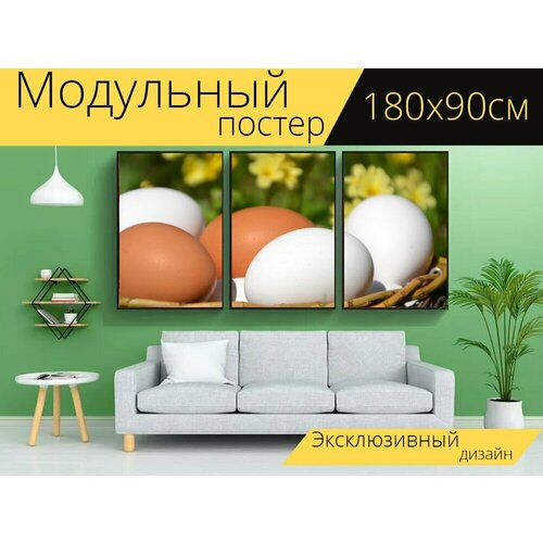Модульный постер "Яйцо, яйца, белый" 180 x 90 см. для интерьера