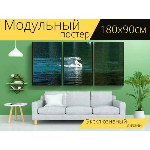 Модульный постер "Лебедь, озеро, водоплавающая птица" 180 x 90 см. для интерьера