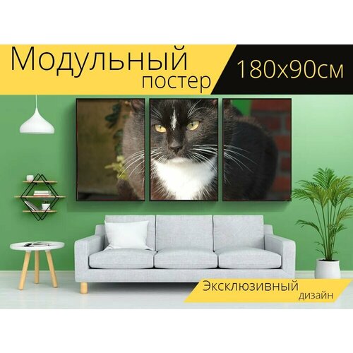 Модульный постер "Котенок, небольшое похмелье, чернобелый" 180 x 90 см. для интерьера