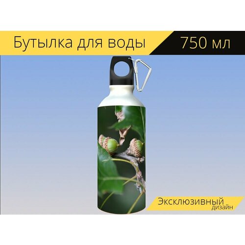 Бутылка фляга для воды "Желудь, дуб, дерево" 750 мл. с карабином и принтом