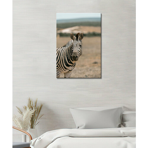 Картина - Зебра, полосатая зебра, красивая зебра, глаза зебры (18) 30х40