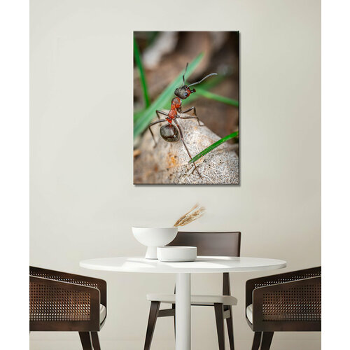 Картина -Муравей, муравей макро, муравей близко (39) 20х30