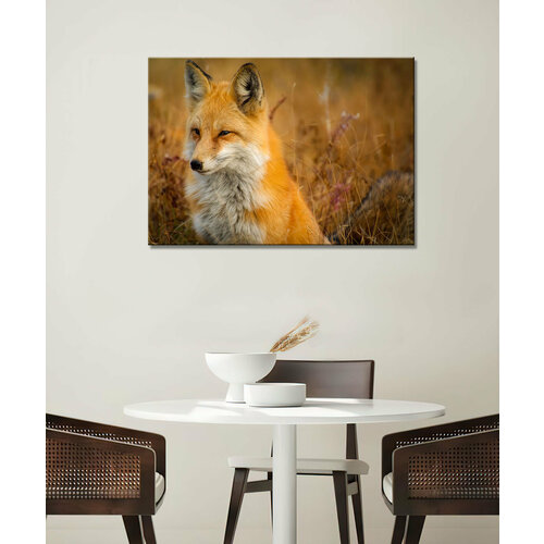 Картина - Лиса, лис, лисы, лисичка, лисенок, лисица, рыжая лиса, лиса в лесу (24) 60х80