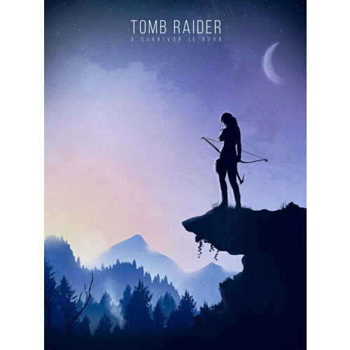 Плакат, постер на бумаге Tomb Raider/игровые/игра/компьютерные герои персонажи. Размер 60 х 84 см