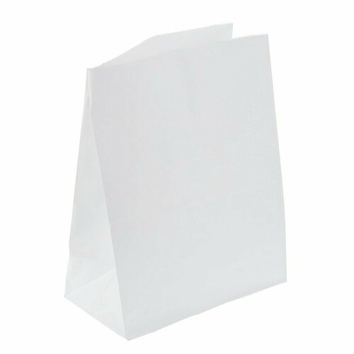Пакет крафт бумажный фасовочный, прямоугольное дно 26 х 15 х 34 см 70 г/м2, набор 50 шт 7730909