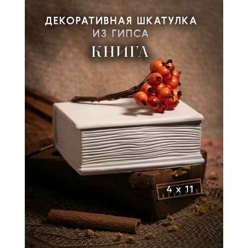Шкатулка "Книга" гипсовая декоративная 4х11