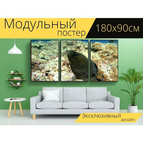 Модульный постер "Мурена, угорь, рыбы" 180 x 90 см. для интерьера