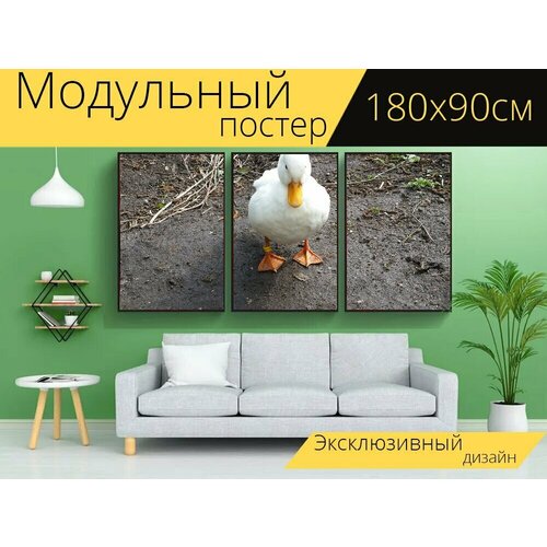 Модульный постер "Перепончатыми лапами, маленькие ножки, утиные ноги" 180 x 90 см. для интерьера