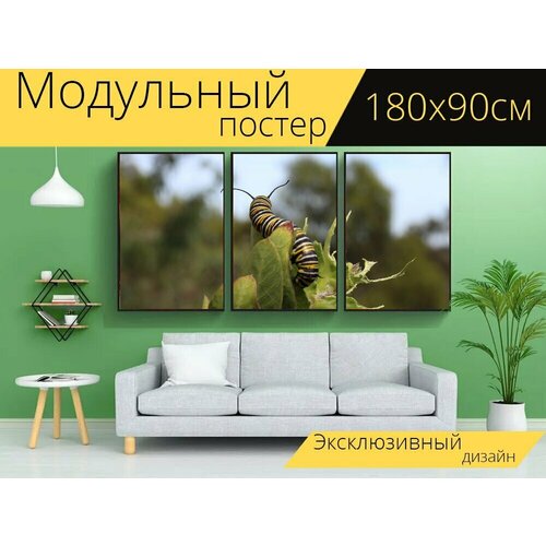 Модульный постер "Монарха гусеница, насекомое, завод" 180 x 90 см. для интерьера