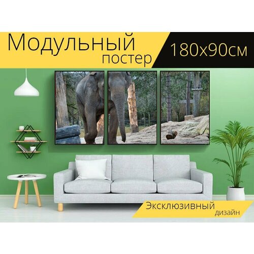 Модульный постер "Слон, слонов crags, зоопарк" 180 x 90 см. для интерьера
