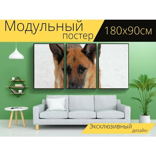 Модульный постер "Немецкая овчарка, собачий, собака" 180 x 90 см. для интерьера