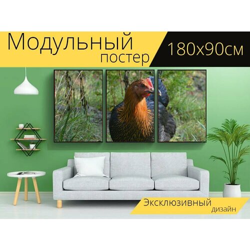 Модульный постер "Курица, цыпленок, птица" 180 x 90 см. для интерьера
