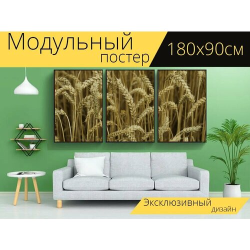 Модульный постер "Колосья пшеницы, зерновое поле, сельское хозяйство" 180 x 90 см. для интерьера
