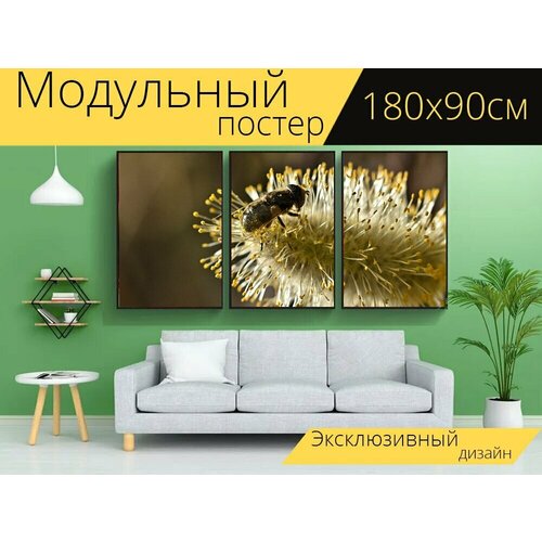 Модульный постер "Пчела, нектар, сережки вербы" 180 x 90 см. для интерьера