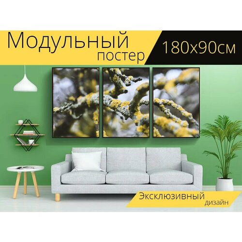 Модульный постер "Ветви, лишайник, грибы" 180 x 90 см. для интерьера