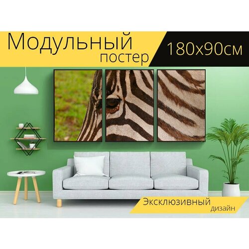 Модульный постер "Зебра, полосатый, коричневый" 180 x 90 см. для интерьера