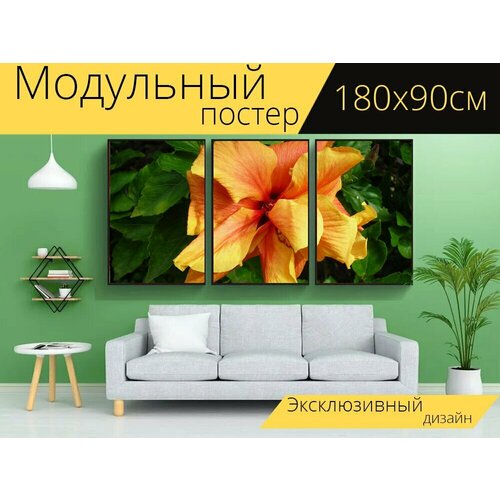 Модульный постер "Цвести, тропический, апельсин" 180 x 90 см. для интерьера