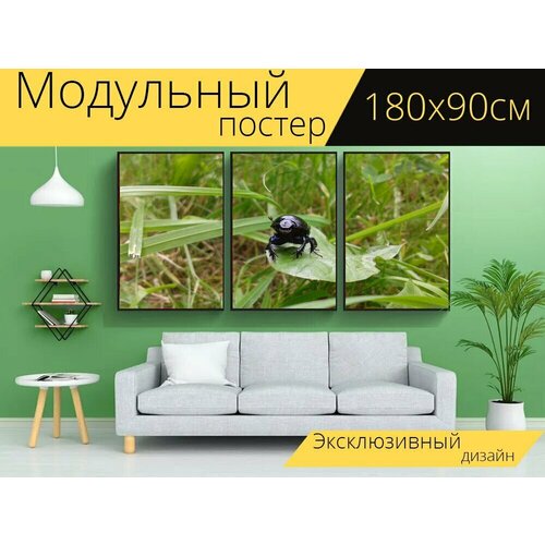 Модульный постер "Жук, природа, насекомое" 180 x 90 см. для интерьера