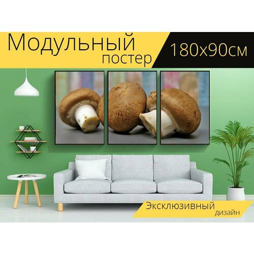 Модульный постер "Гриб, egerling, диск грибок" 180 x 90 см. для интерьера