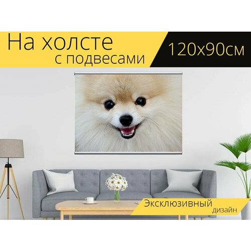 Картина на холсте "Померанский шпиц, карликовый шпиц, собака" с подвесами 120х90 см. для интерьера